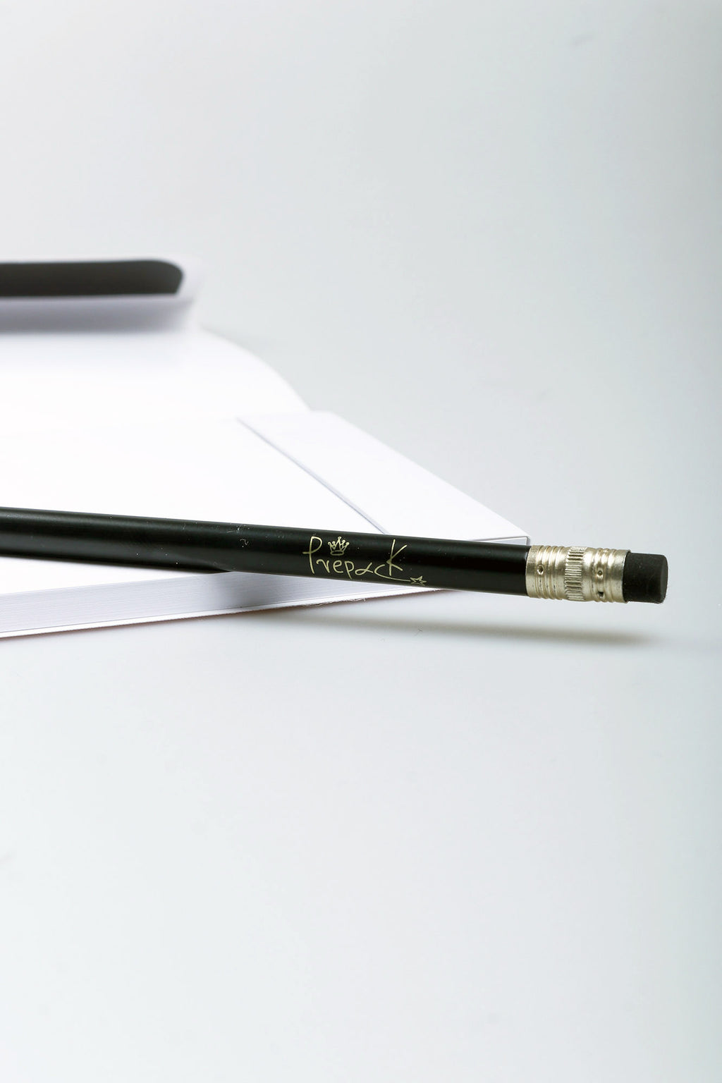 Einstein magnetic notebook – prepackart